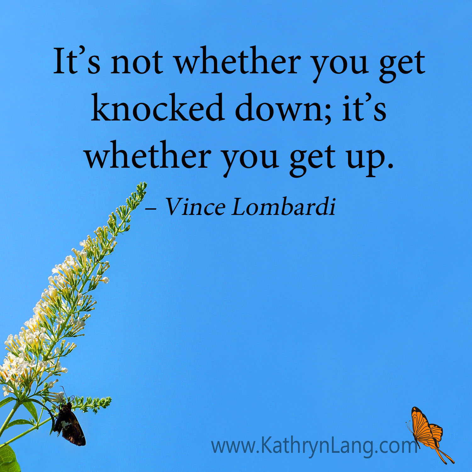 Quote of the Day – You Get Knocked Down